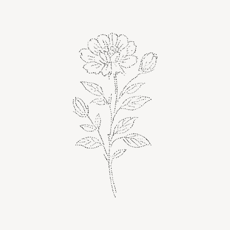 Aesthetic Line Art Flowers Minimalist PNG Images | Free Photos, PNG ...