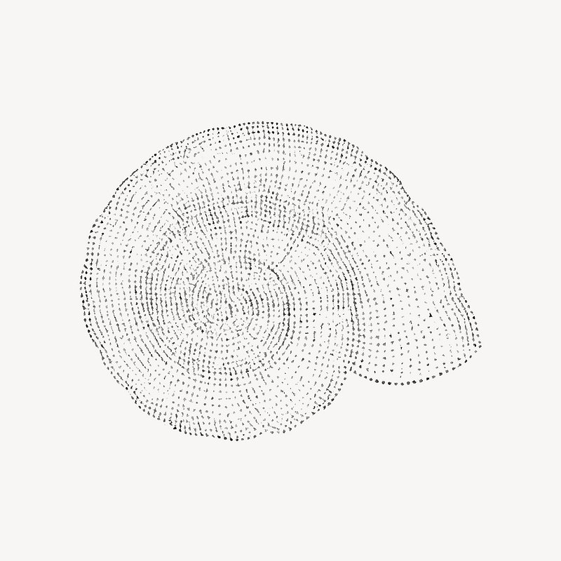 Vintage Marines Aesthetic Ocean Background Images | Free Photos, PNG ...