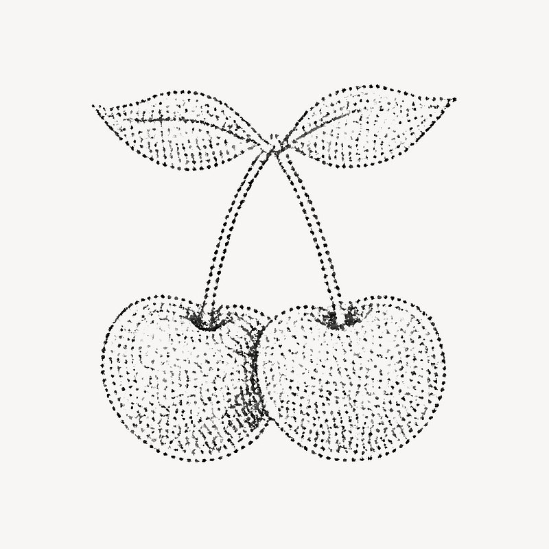 Vintage Botanical Fruits Black Drawing Shadow Images | Free Photos, PNG ...