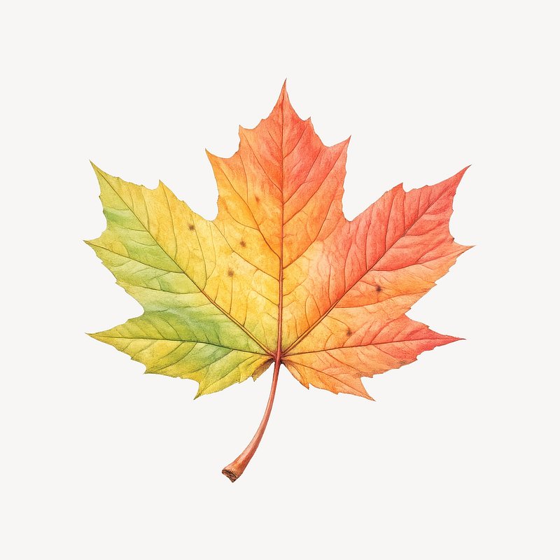 Fall Design Element Background Autumn Nature Images | Free Photos, PNG ...