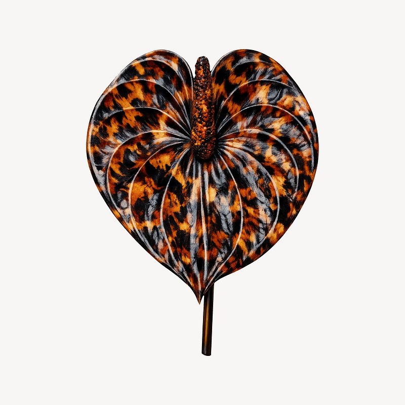 Plant Material Shadow Images | Free Photos, PNG Stickers, Wallpapers ...