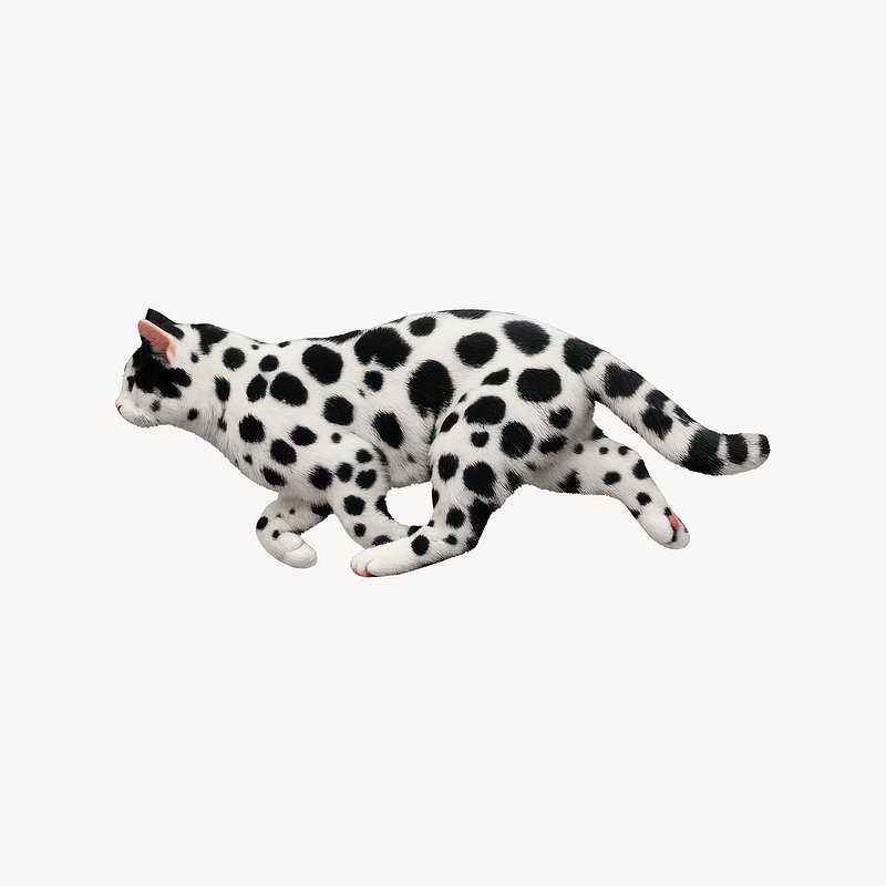 Skinning+cats Animal Pattern Images | Free Photos, PNG Stickers ...