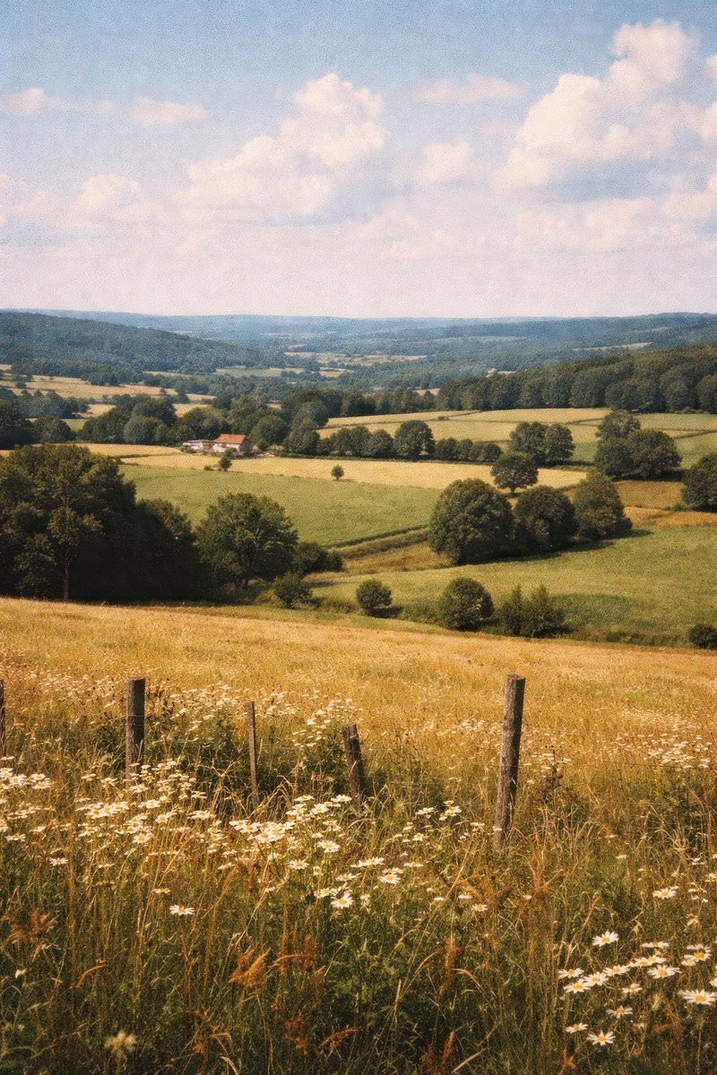 Countryside Fields Wildflower Wallpaper Nature Images | Free Photos ...