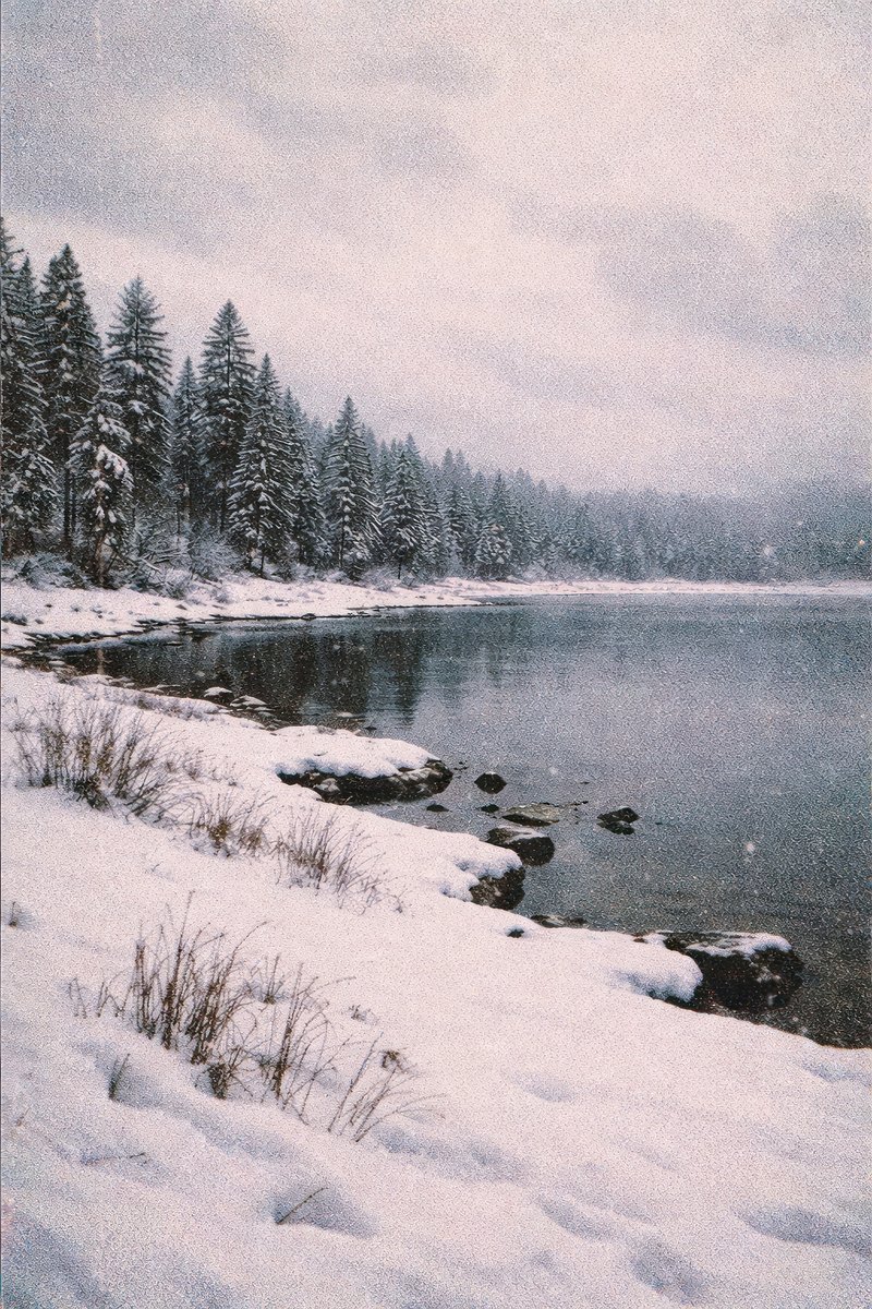 Frozen Forest Nature Images | Free Photos, PNG Stickers, Wallpapers ...