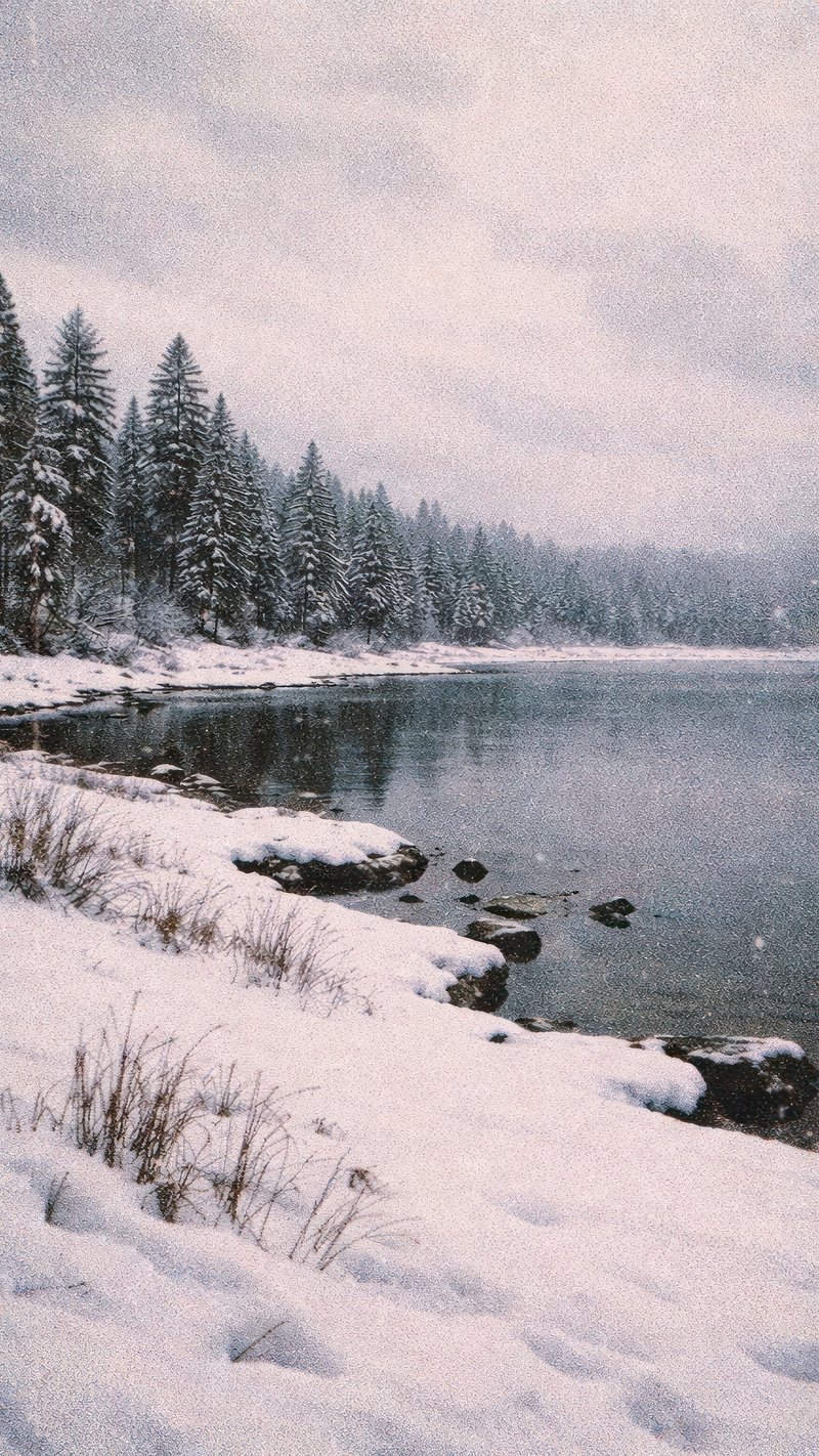 Mobile Wallpaper Forest Aesthetic Texture Images | Free Photos, PNG ...