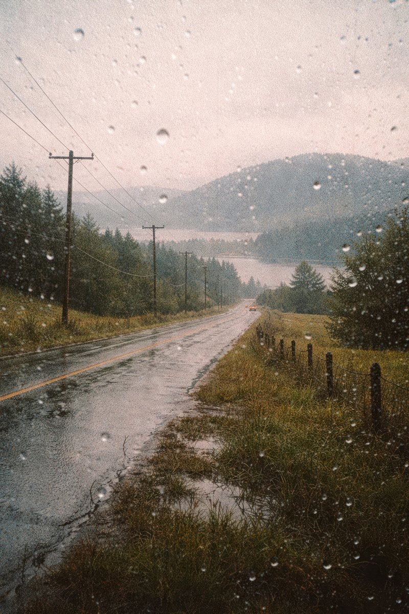 Tree In The Mist Landscape Forest Images | Free Photos, PNG Stickers ...