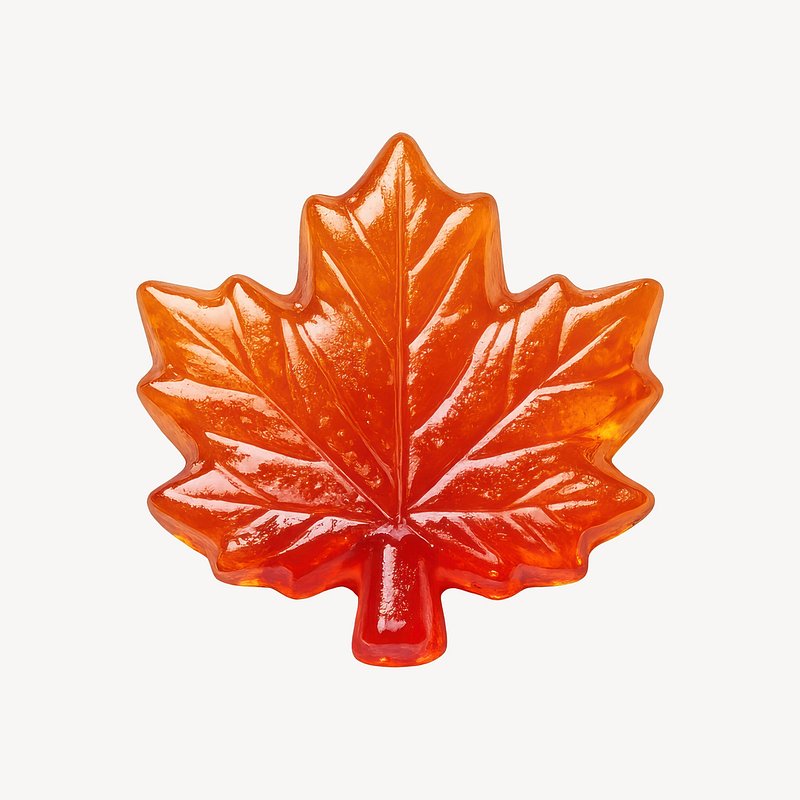 Fall Nature Leaves Vibrant Transparent Images | Free Photos, PNG ...