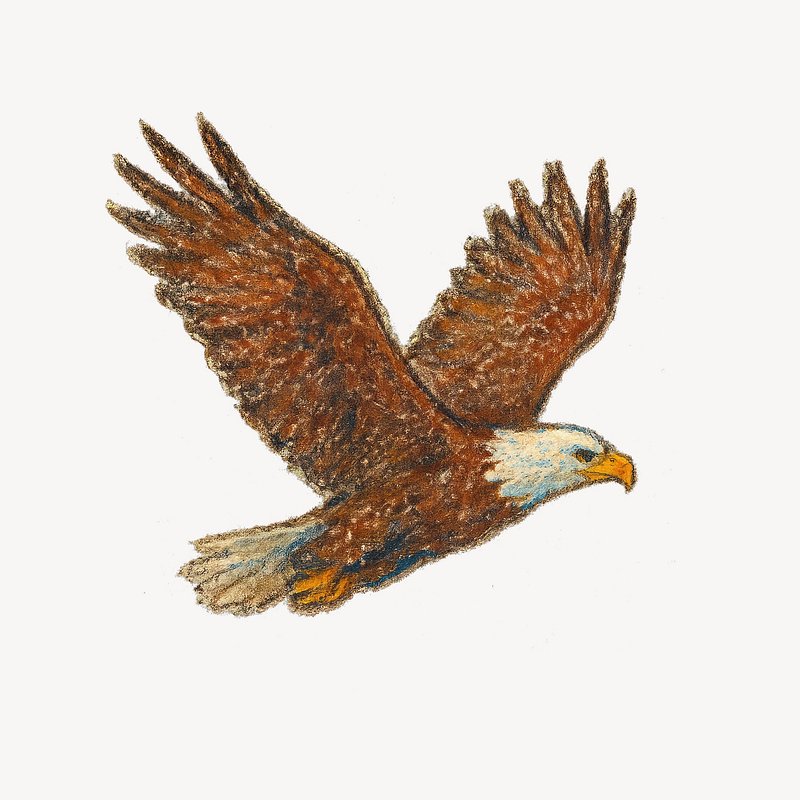 White Eagles Illustration Light Art Images | Free Photos, PNG Stickers ...