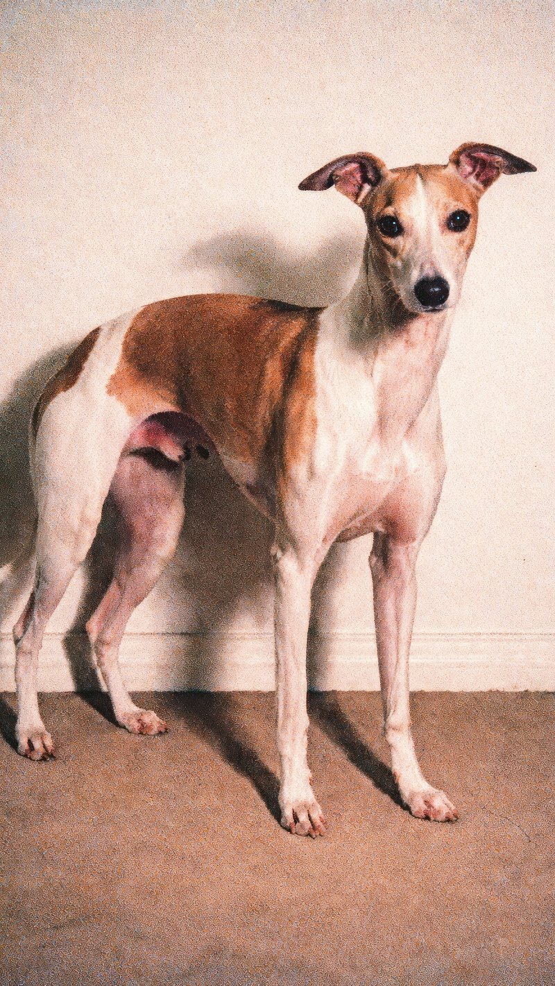 Pixel+stand Aesthetic Images | Free Photos, PNG Stickers, Wallpapers & Backgrounds - rawpixel