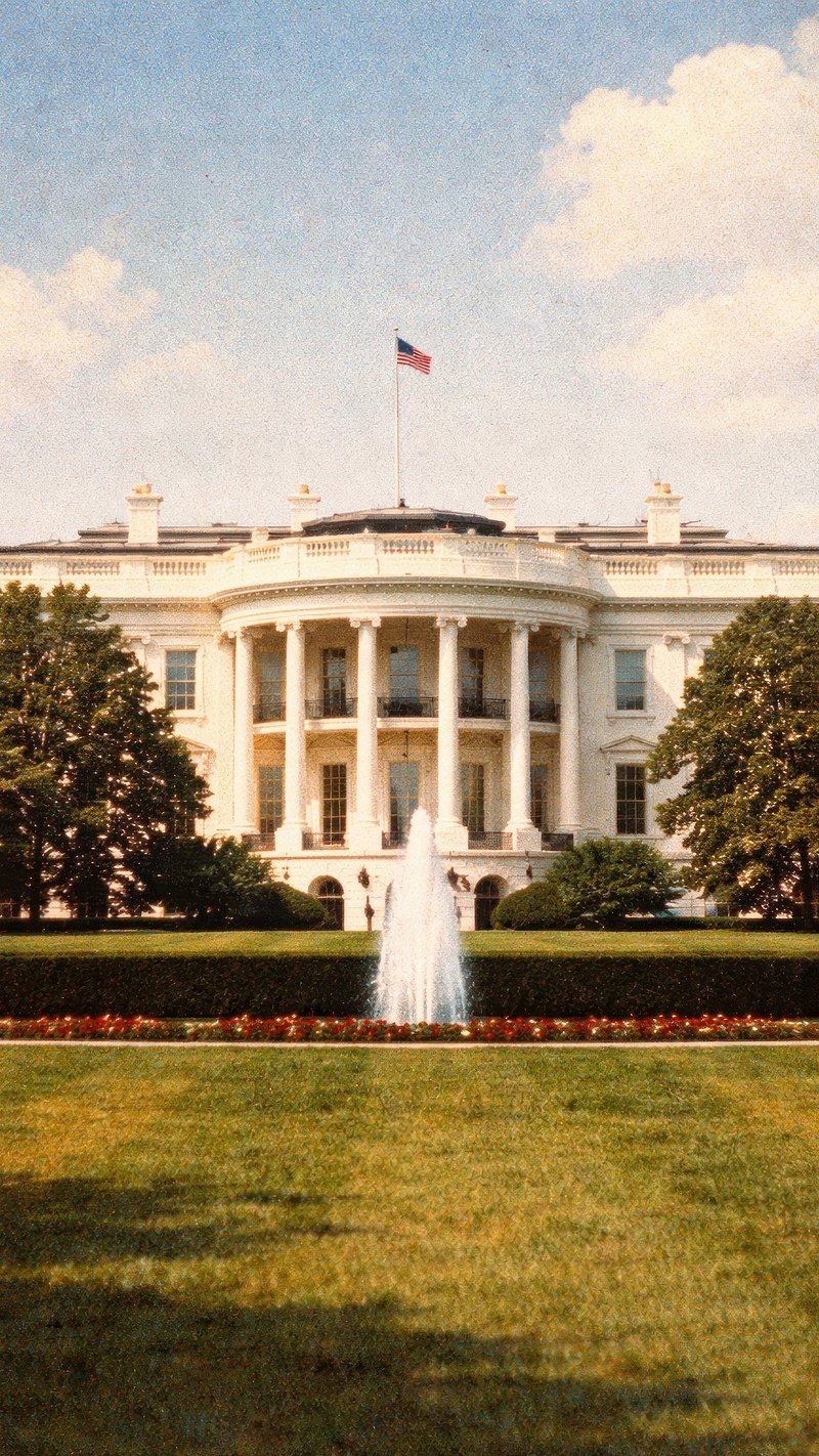 Heritage+tree Texture Images | Free Photos, PNG Stickers, Wallpapers ...