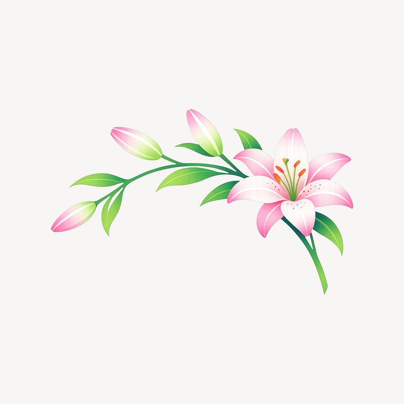 Arch Leaf Nature Background Design Flower Images | Free Photos, PNG ...