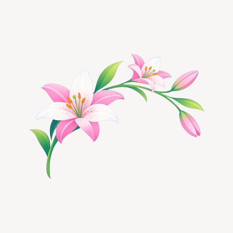 Image+of+() Flower Jpg Paper Art Images | Download Free Design ...