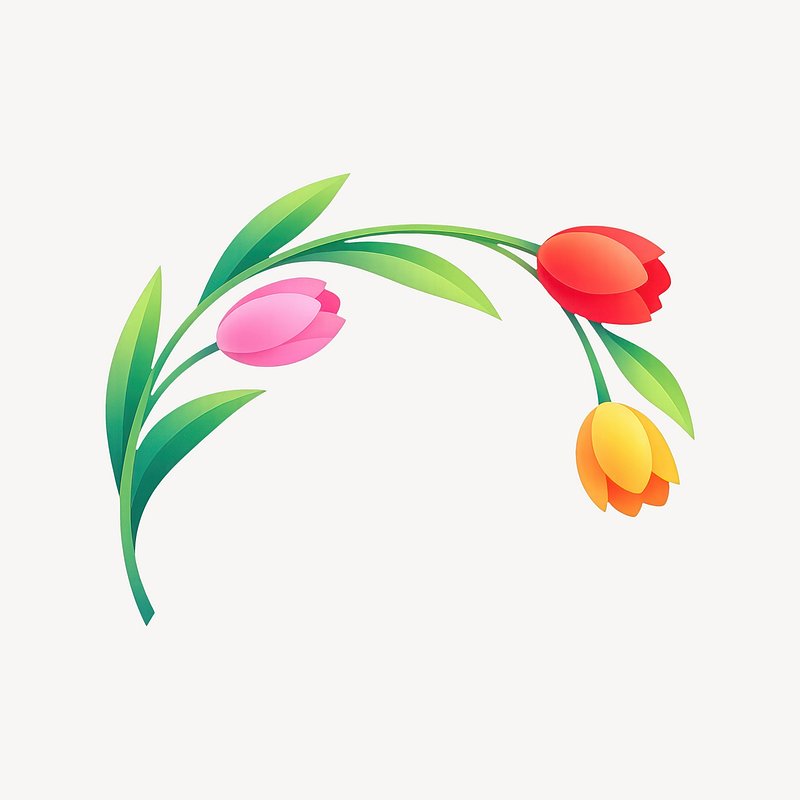 Floral Arch Background Shadow Paper Images | Free Photos, PNG Stickers ...