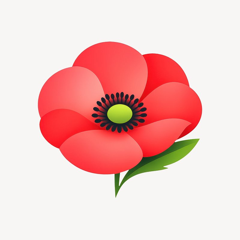 Red Fade Paper Frame Flower Images | Free Photos, PNG Stickers ...