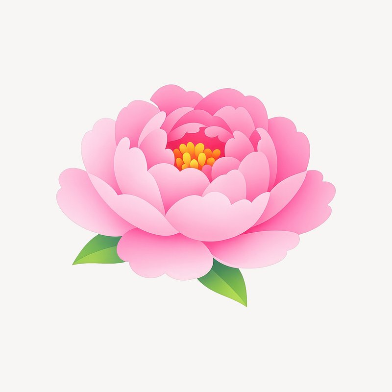 Pink Peony Flower Nature Png Images | Download Free Design Resources on ...