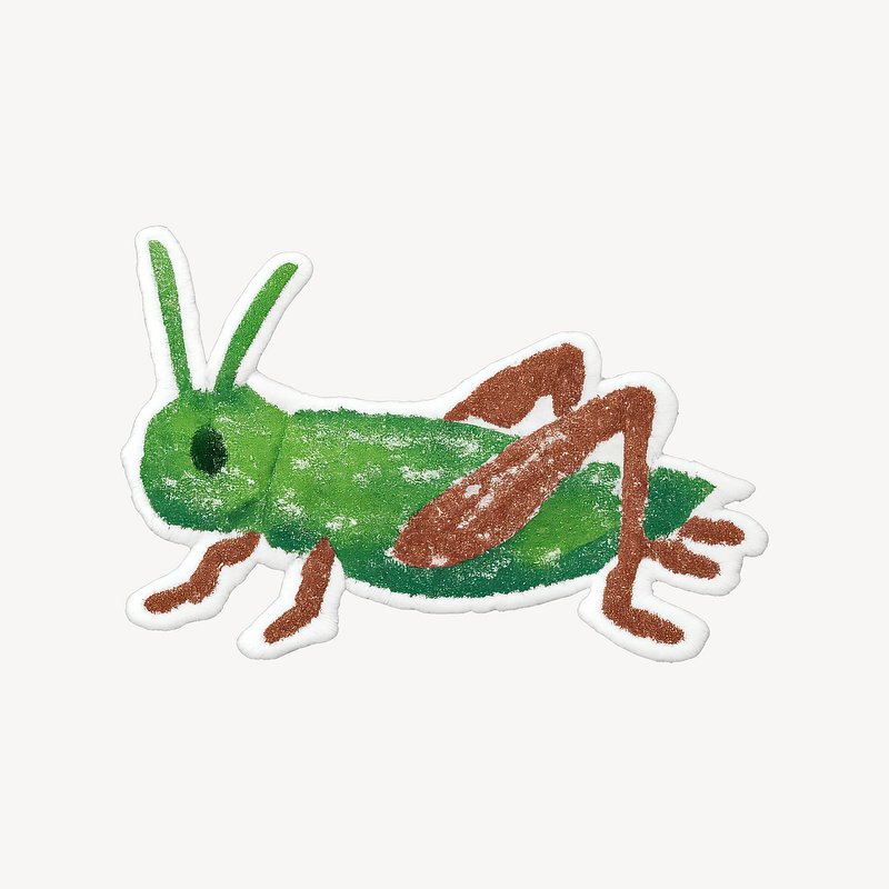 Images+of+crickets+insects Texture Images | Free Photos, PNG Stickers ...