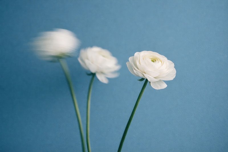 Emotional+rawness Background Images | Free Photos, PNG Stickers ...