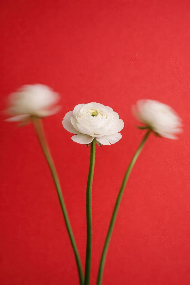 Emotional+rawness Background Images | Free Photos, PNG Stickers ...