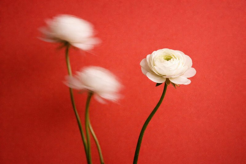 Emotional+rawness Background Images | Free Photos, PNG Stickers ...