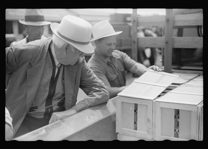 Benton Images | Free Photos, PNG Stickers, Wallpapers & Backgrounds ...