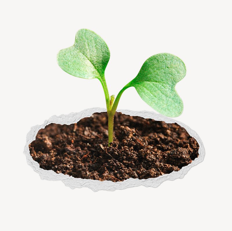 Growing sprout ripped paper badge, | Free Photo - rawpixel