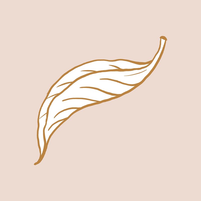 Brown leaf sticker, vintage botanical | Premium PSD - rawpixel