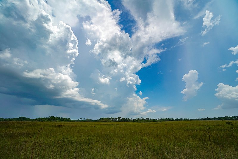 Original public domain image from Flickr | Free Photo - rawpixel