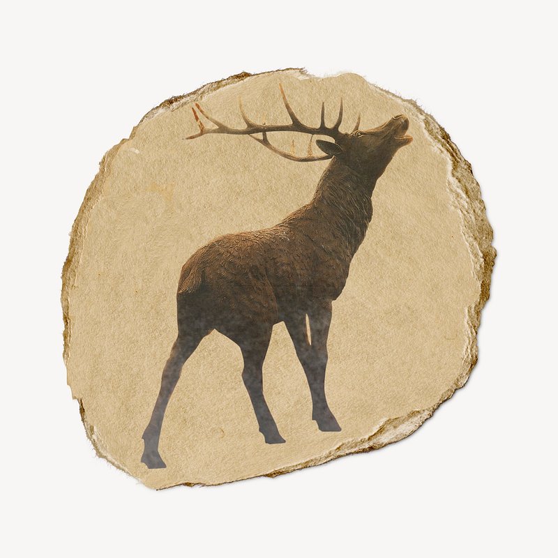 Stag, animal, ripped paper collage | Free Photo - rawpixel