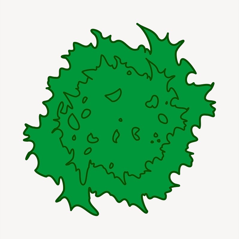 Tree Top View PSD Images | Free Photos, PNG Stickers, Wallpapers ...