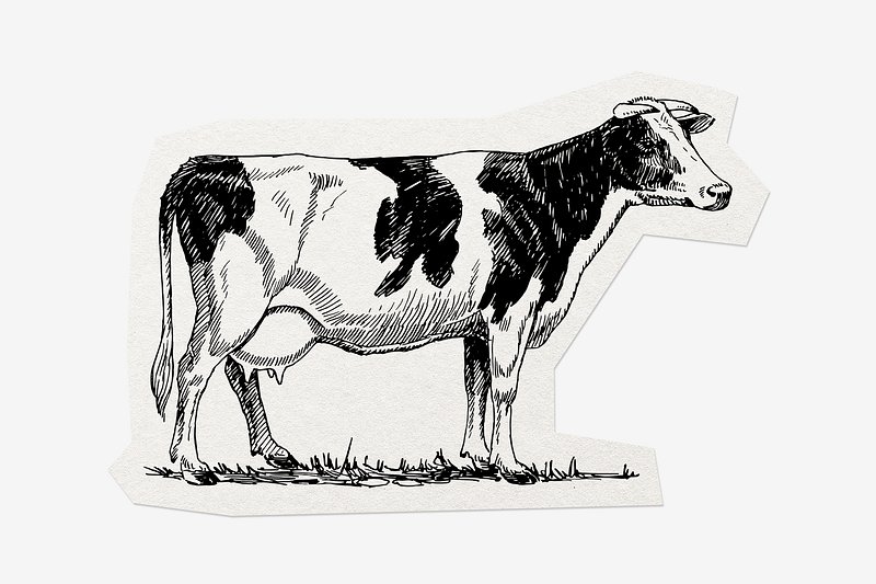 Drawing cow, cut paper design, | Premium Photo - rawpixel