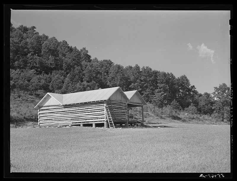 Morehead Images | Free Photos, PNG Stickers, Wallpapers & Backgrounds ...