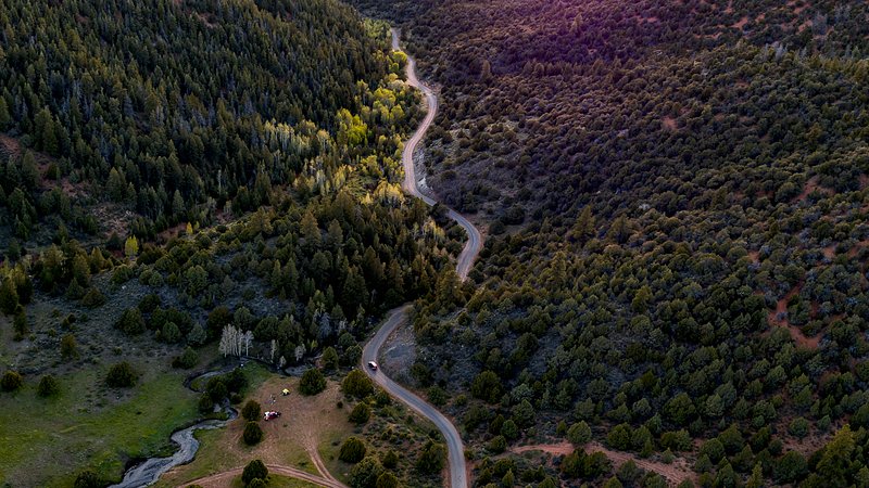 Dixie Images | Free Photos, PNG Stickers, Wallpapers & Backgrounds ...