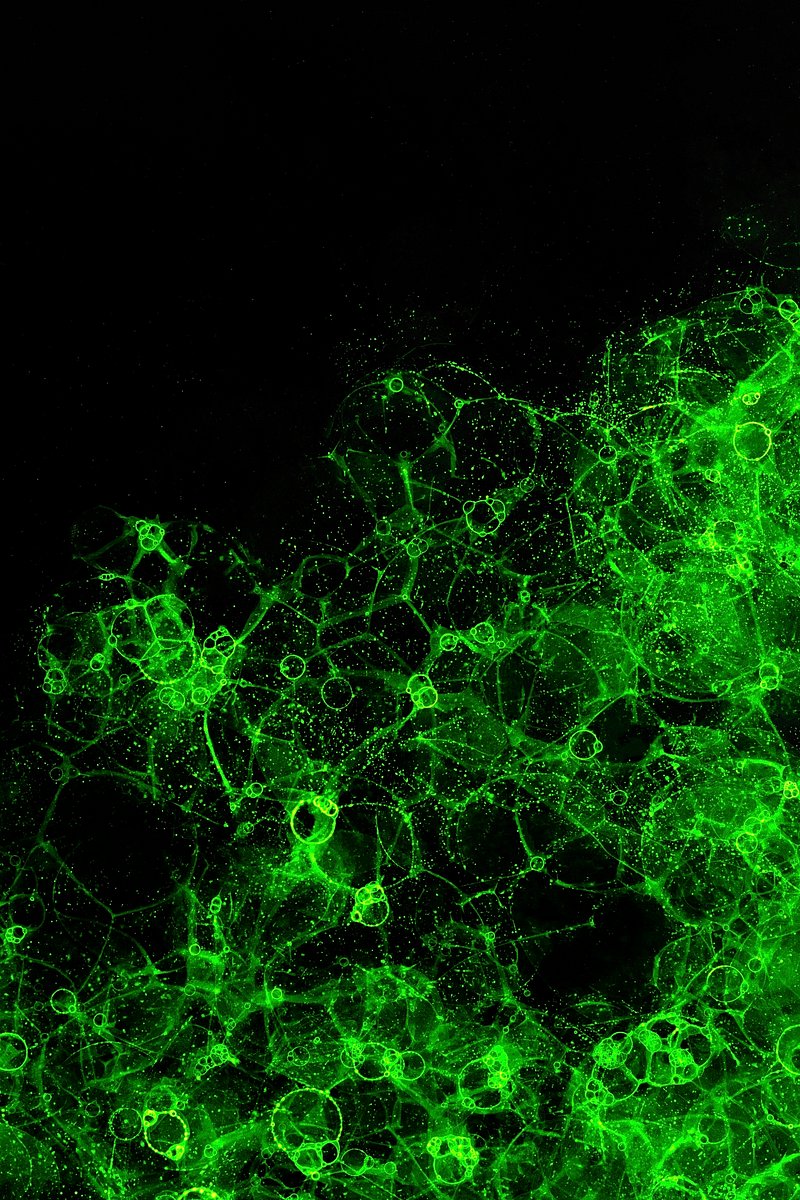 Radioactive Background Images | Free Photos, PNG Stickers, Wallpapers ...