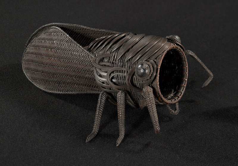 Japanese Cicada Images | Free Photos, PNG Stickers, Wallpapers ...