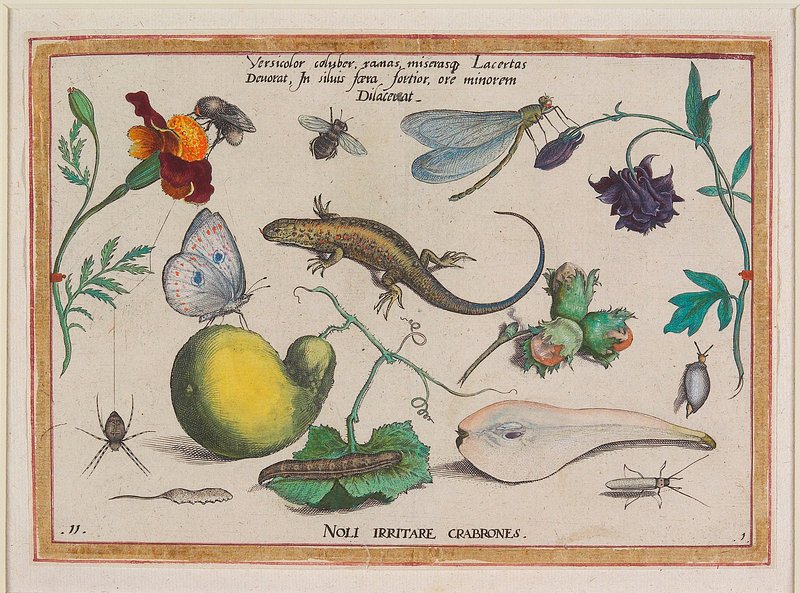 Fishing+border Fish Images | Free Photos, PNG Stickers, Wallpapers ...