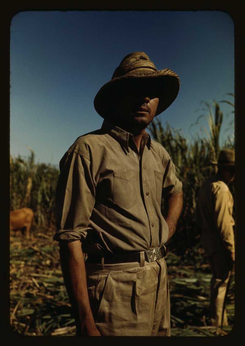 Rico Vintage Puerto Cc0 Film Images | Free Photos, PNG Stickers ...