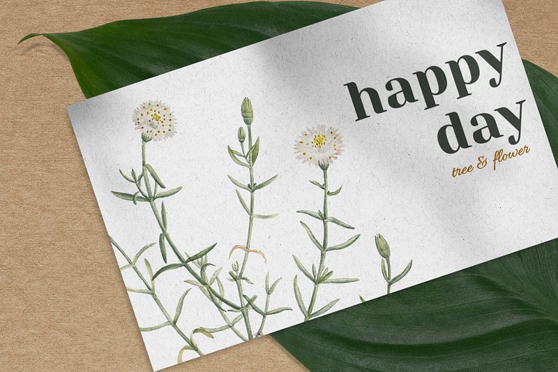 Name Day Images | Free Photos, PNG Stickers, Wallpapers & Backgrounds ...