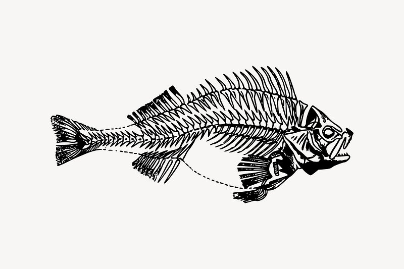 Fish Bone Images | Free Photos, PNG Stickers, Wallpapers & Backgrounds ...