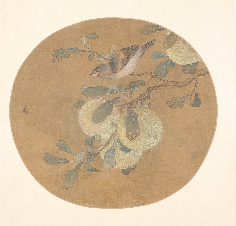 Oval fan mounted to cardstock | Free Photo - rawpixel