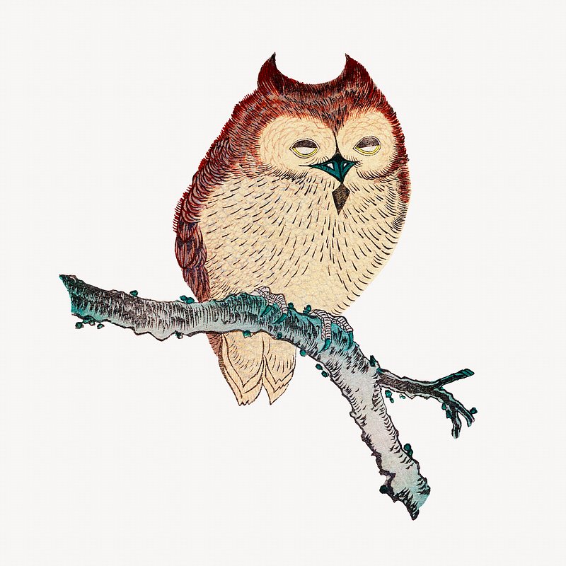 Owl Japanese Images | Free Photos, PNG Stickers, Wallpapers ...