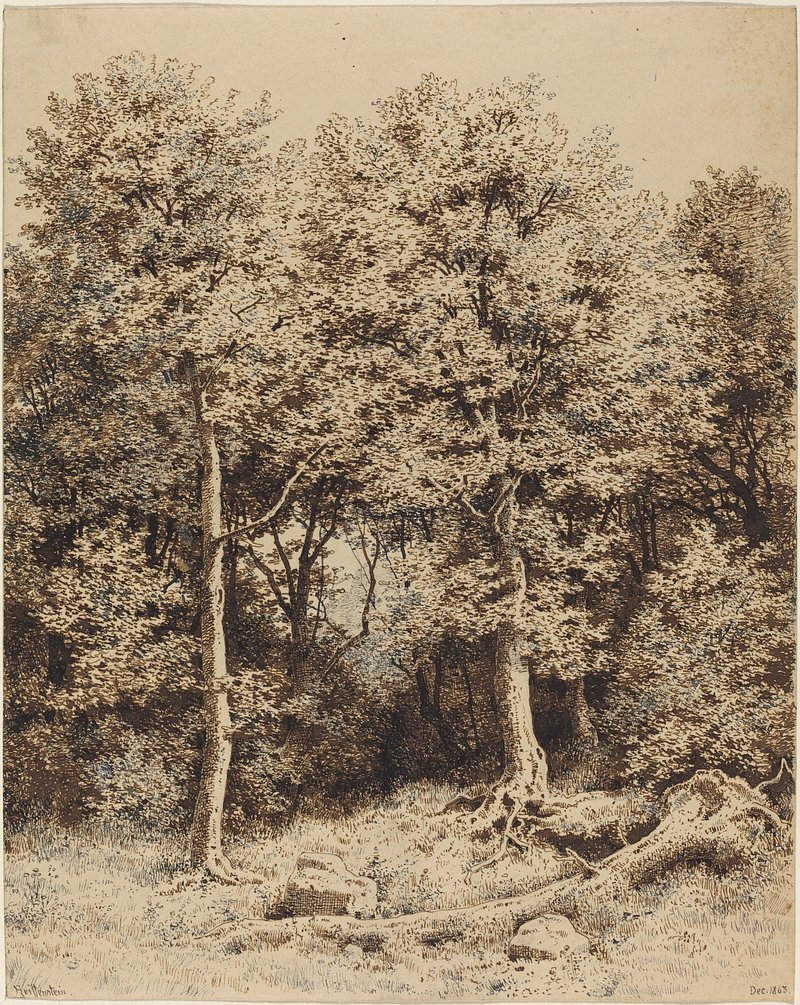 Copse Trees (1863) drawing high | Free Photo Illustration - rawpixel