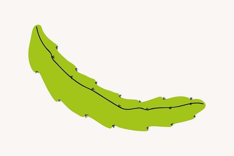 Green leaf, doodle botanical clipart | Free Vector - rawpixel