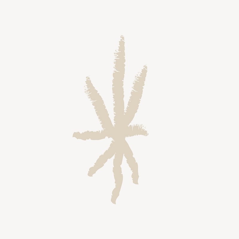 Asterisk collage element vector | Premium Vector - rawpixel