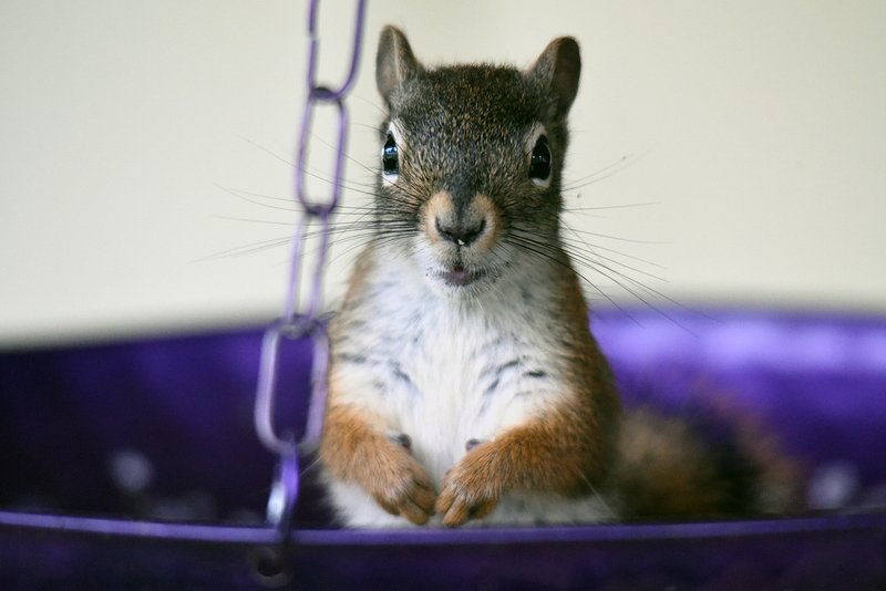 Celley Images | Free Photos, PNG Stickers, Wallpapers & Backgrounds ...