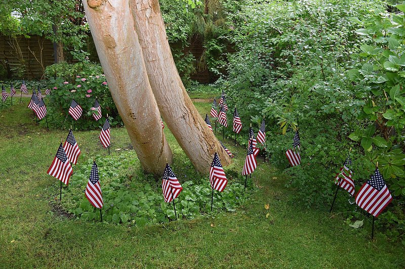 American Flag Trees Images | Free Photos, PNG Stickers, Wallpapers ...