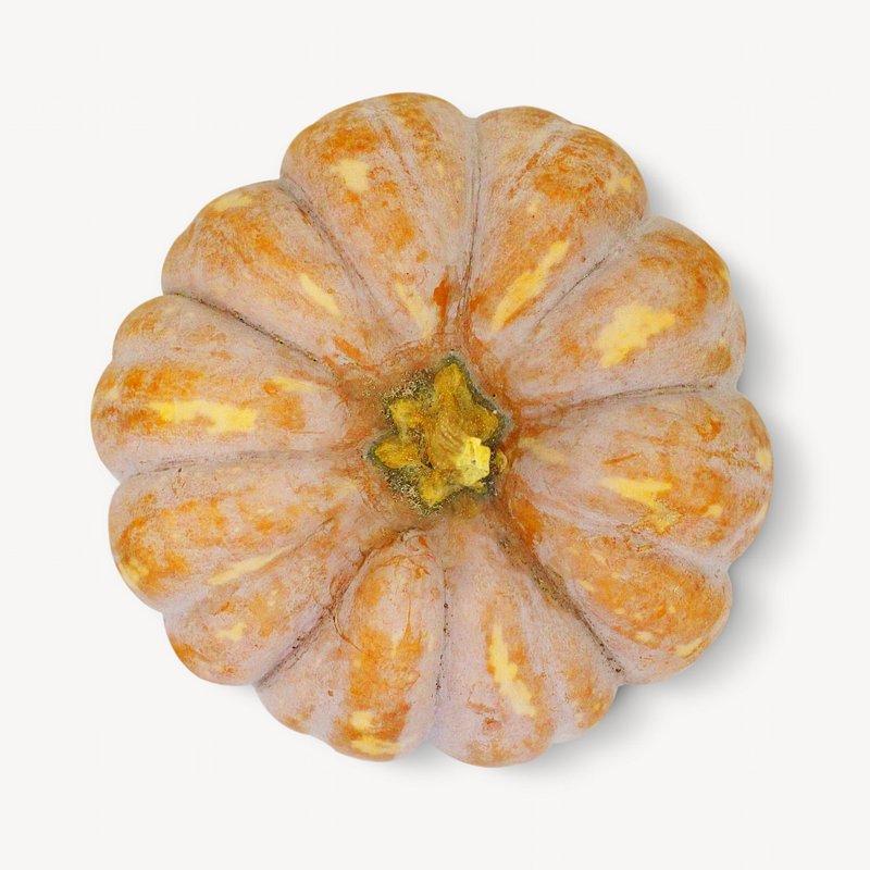 Brown squash isolated image white | Free Photo - rawpixel