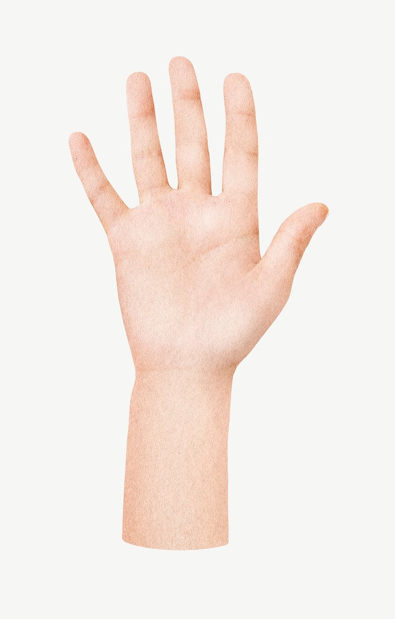 Hand Raise Aesthetic Images | Free Photos, PNG Stickers, Wallpapers ...