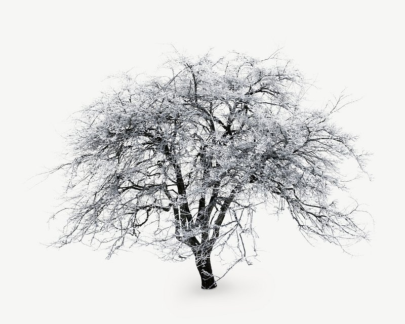 Winter tree collage element psd | Free PSD - rawpixel