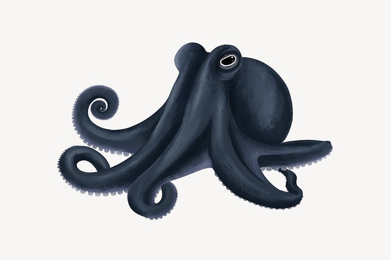 Black And White Octopus Images | Free Photos, PNG Stickers, Wallpapers ...