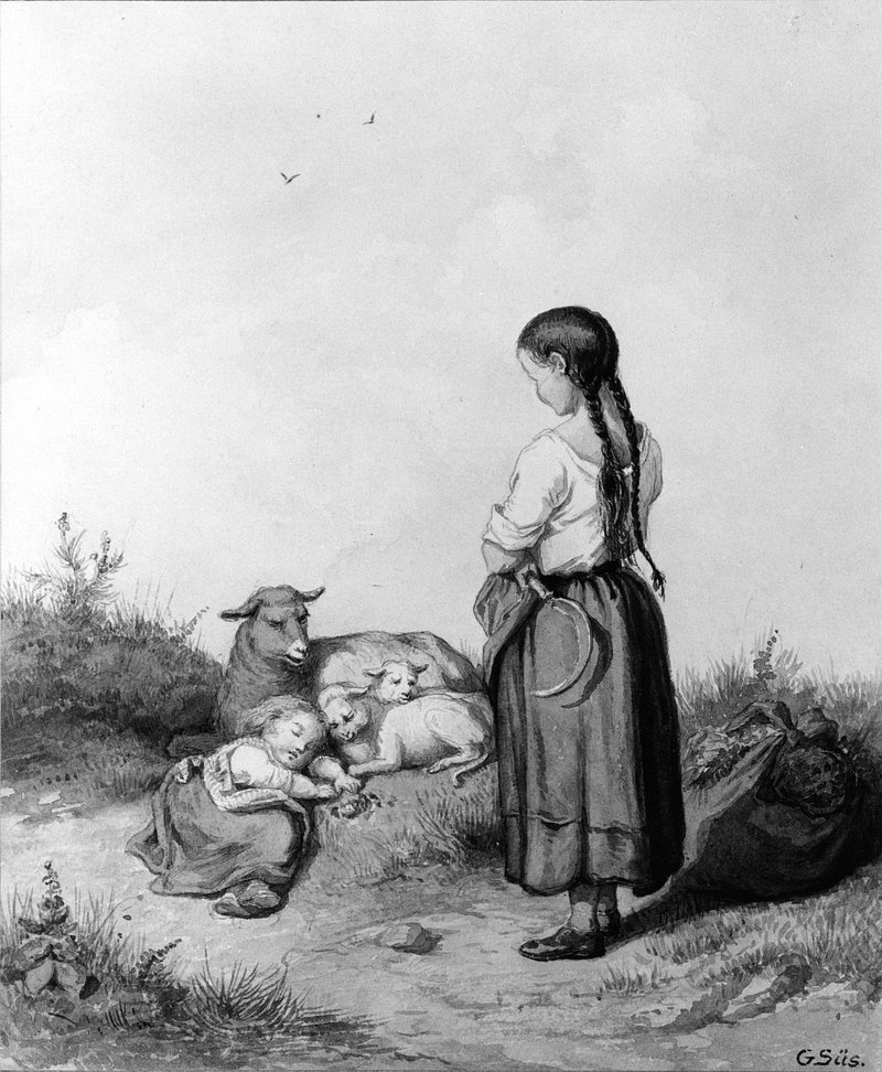 Sus Dogs Images | Free Photos, PNG Stickers, Wallpapers & Backgrounds ...